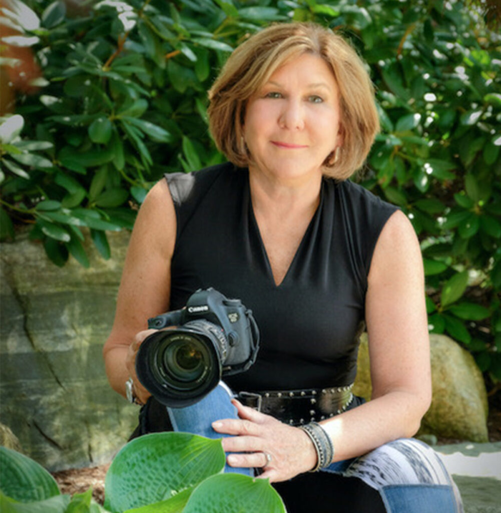 Our Artists - Judith Liegeois Designs Judith Liegeois Designs